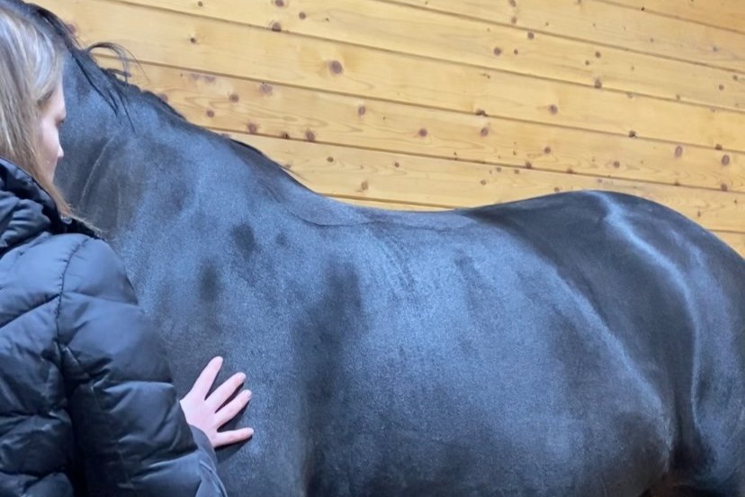 Services | Stable Body Physical Therapy